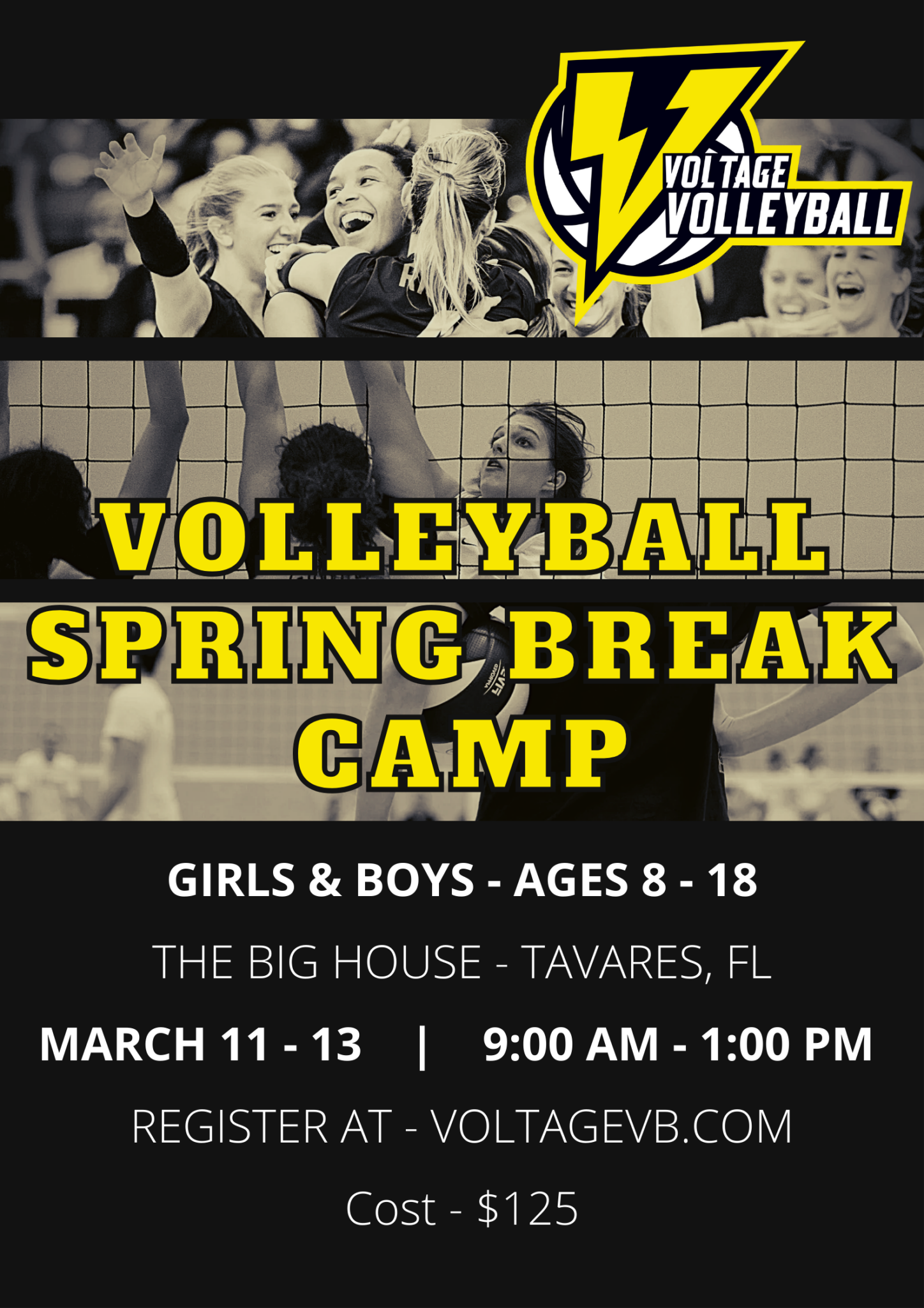 Voltage Volleyball – Train like a Champion