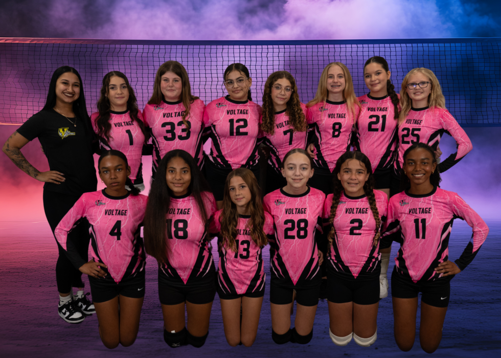 Teams – Voltage Volleyball