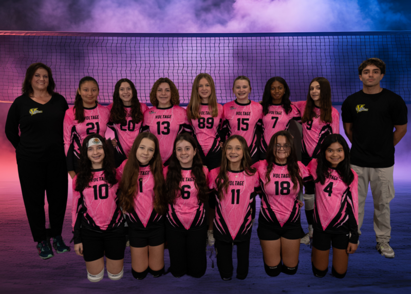 Teams – Voltage Volleyball